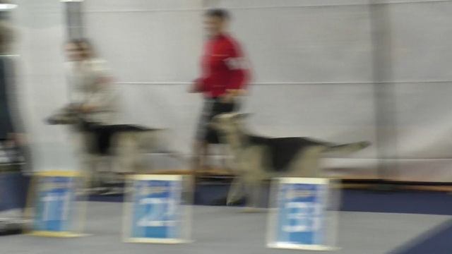 Сравнение на ЛС