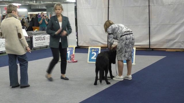 Шер Царица Клеопатра из Новой Империи