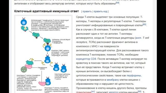 Гаряев-Матрицы.РФ__Главный секрет здоровья. Иммунная система
