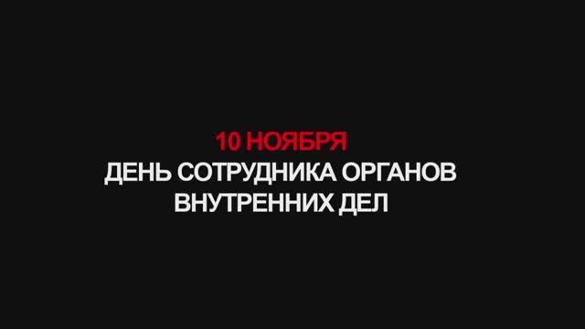 Ко Дню сотрудника органов внутренних дел
