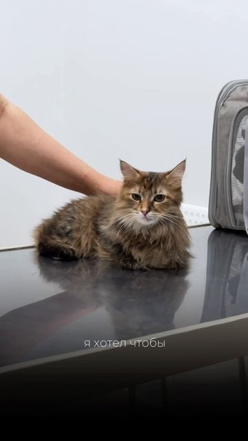 Иногда большая история начинается с одной мечты 💜⠀