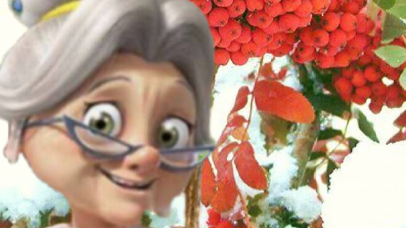 Пирог со сливами.