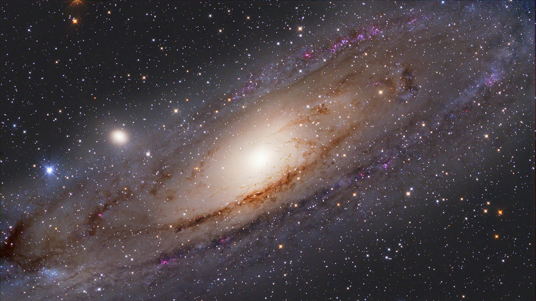 НЕПТУН ЭДИТ