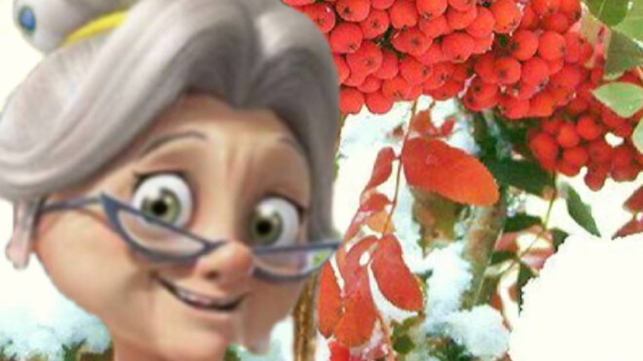 Лепешки на кефире