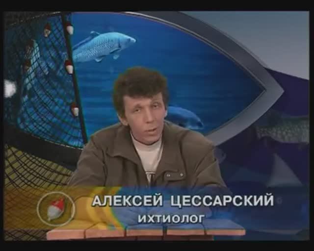 Какое пагубное воздействие на рыб оказывает применение браконьерской снасти — «электроудочки» ?
