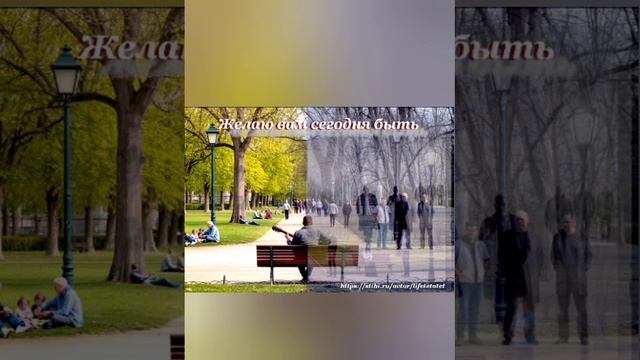 Желаю вам сегодня быть/I wish you today to be