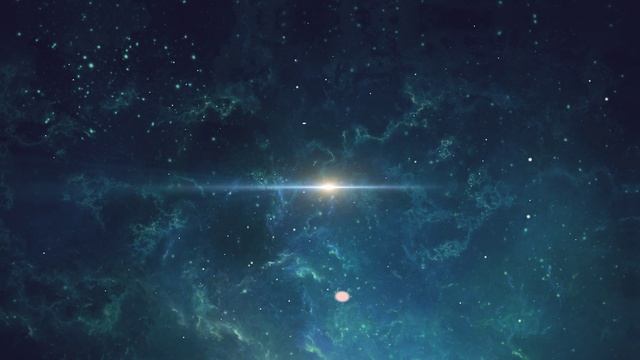 Каланхоэ Супернова (Kalanchoе Supernova) - фантастическая новинка 2025 г.!
