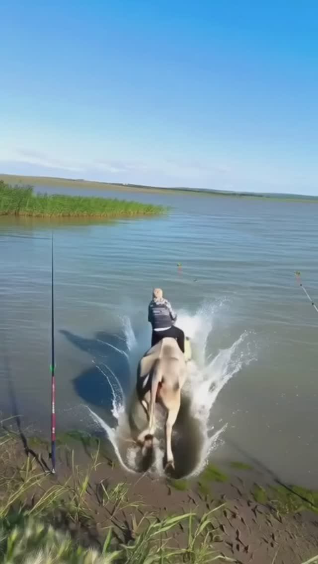 дело было на озере