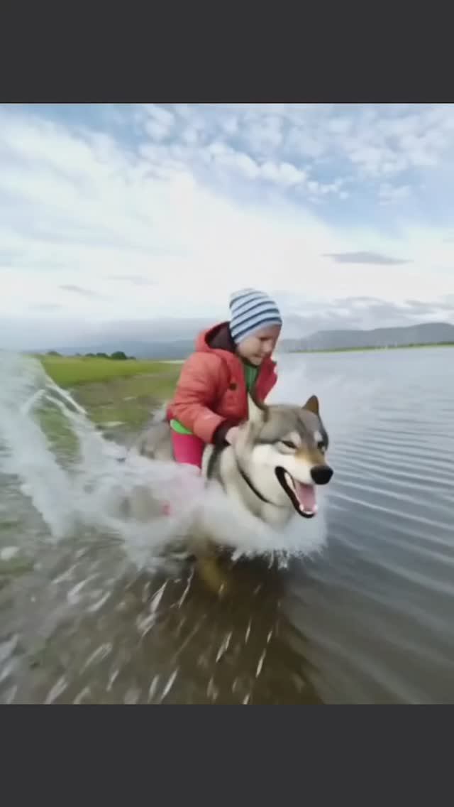 поразвлекались