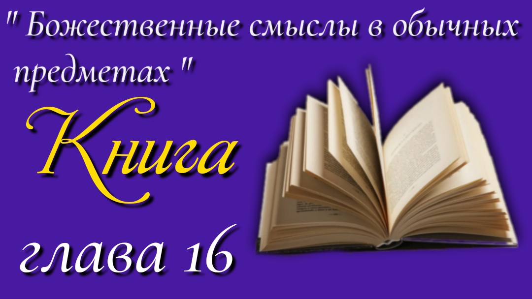 16) Книга