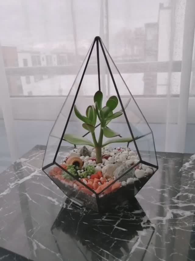 Флорариумы разных форм,делаем сами