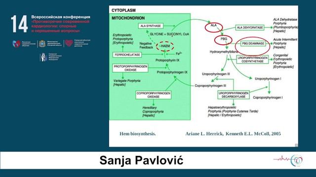 «Два часа на разное, или интеллектуальная кардиология»