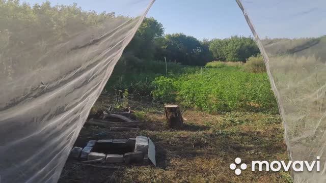 Переставили вагончик в деревне. И толку что косили?!