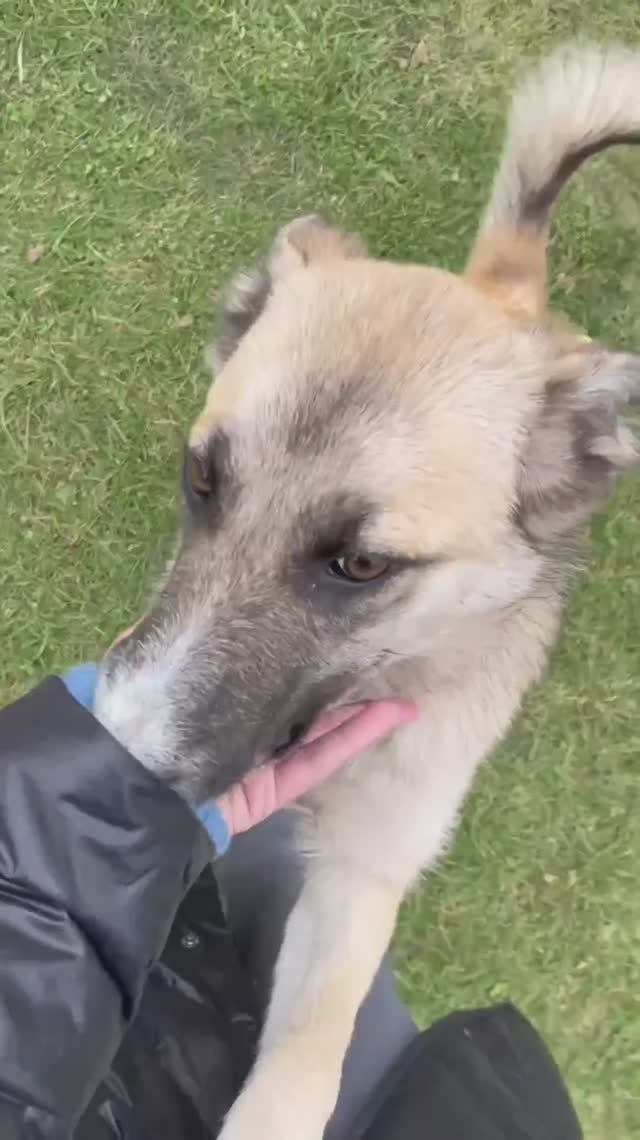 День на Алтае за 30 секунд.