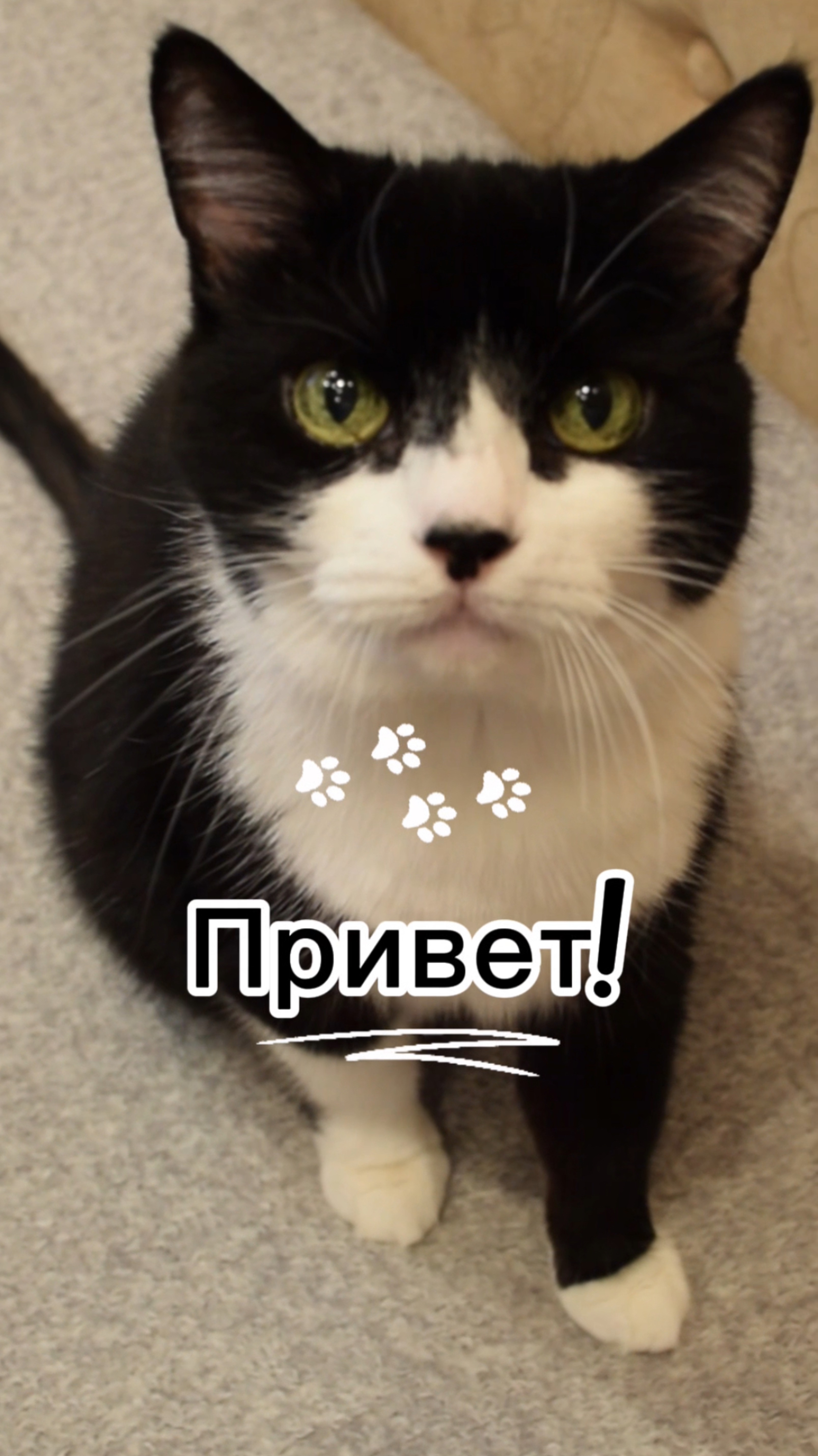 Дневник НаНоРайМо, день 10. #нанораймо  #nanowrimo #как_написать_книгу_за_30_дней