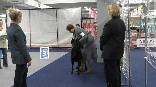 Сравнение на ЛЮ