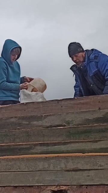 Что делать с чачей в леваде?