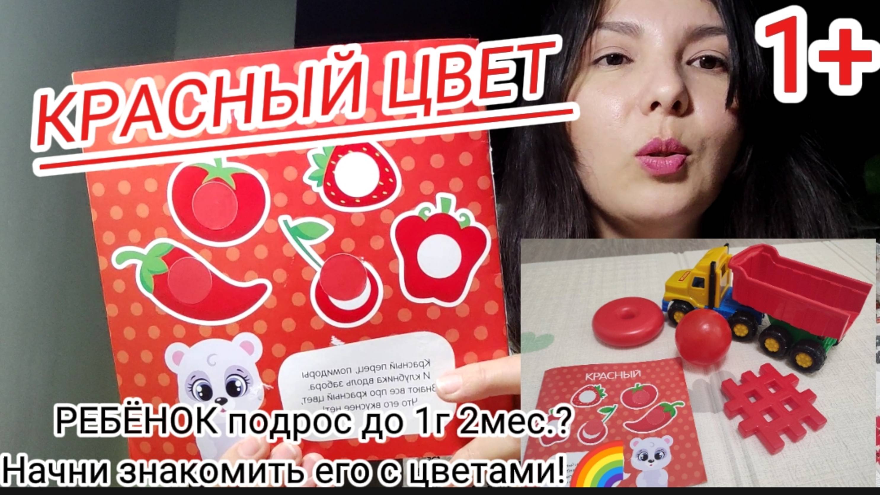 Изучаем цвета с ребёнком 1 год +. Наклейки "Умные кружочки"