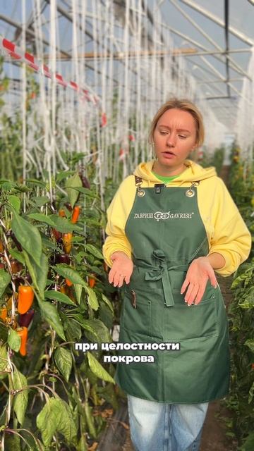 КУДА ДЕВАТЬ МУЛЬЧУ ОСЕНЬЮ?