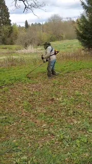 Субботник 04.05.2025: готовы к празднованию Дня Победы