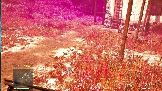 Реджи и Йоги Последний квест. Даже компьютер сошёл с ума.