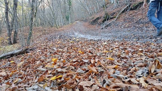 осень