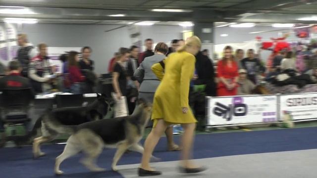 Сравнение на ЛПП