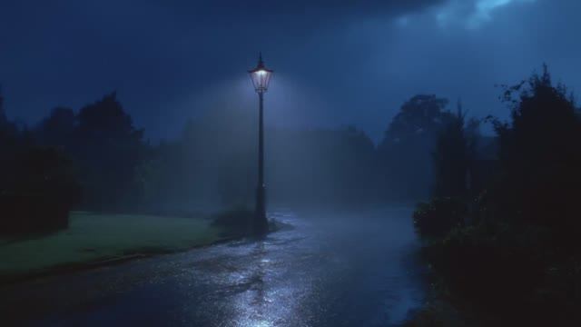 The last song before dawn..