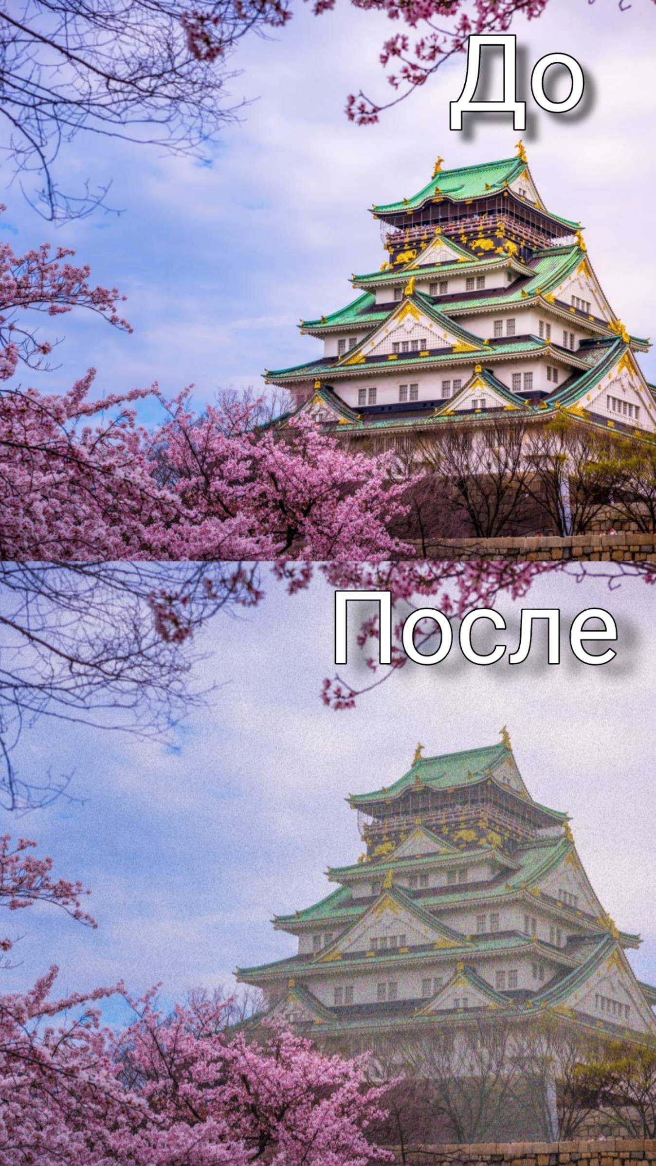 «Добавление шума» в AliveColors