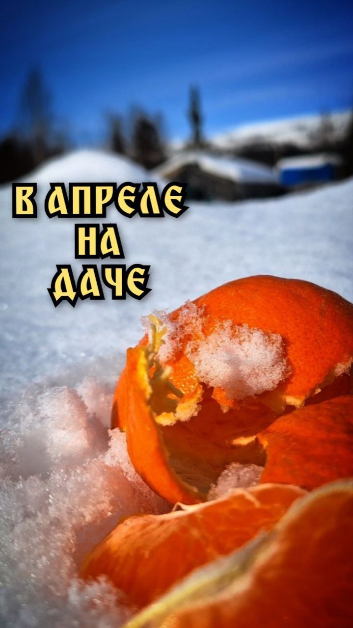 На даче. Апрель.