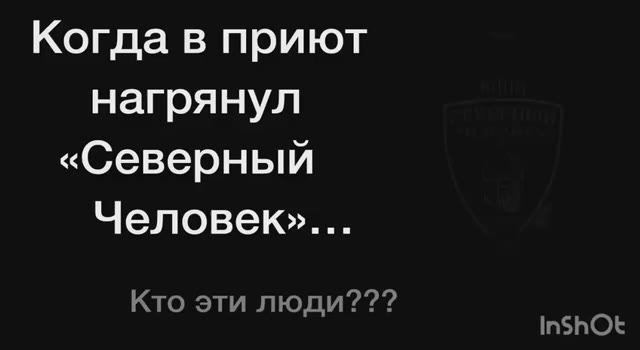Когда в приют нагрянул "Северный человек"...