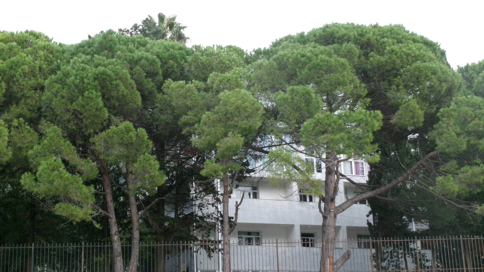 Всем привет из Абхазии город Гагра. Отель Жоэквара.  Номер Студия.  Наш отпуск. октябрь 2025 год..