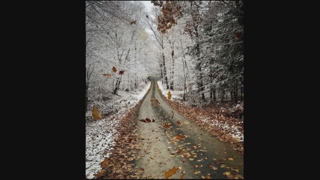 Осень-непростое время года... Ирина Расшивалова.