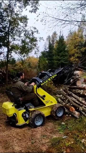 ЛЕСНЫЕ РАБОТЫ