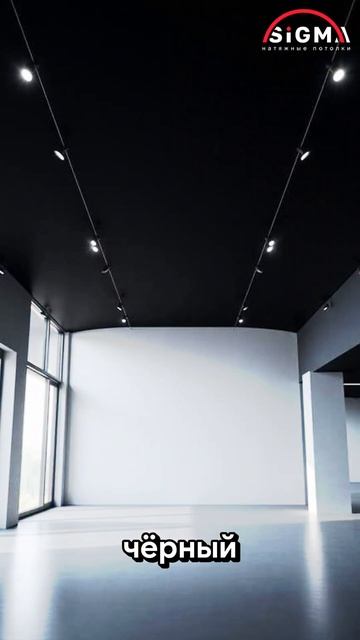 Создайте атмосферный интерьер с черным матовым натяжным потолком!