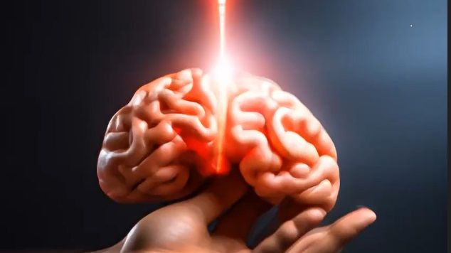 Лучшие выпускники -1