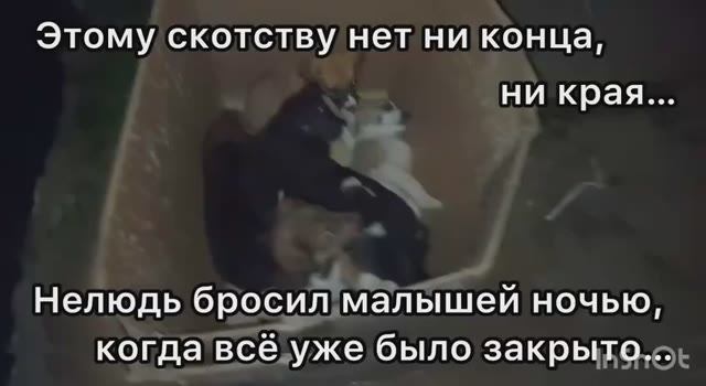 Нелюдь бросил малышей ночью, когда всё уже было закрыто...