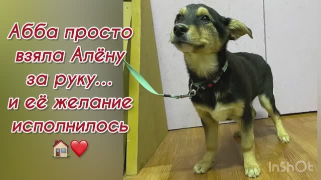 Абба просто взяла Алёну за руку… и её желание исполнилось ♥️