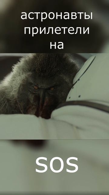 Фильм: К звёздам.