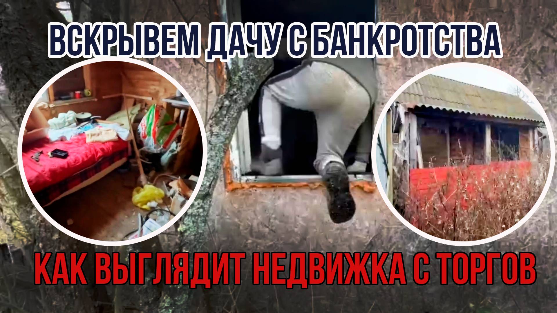 Вскрываем дачу с банкротства. До и после. Уборка. Мыши