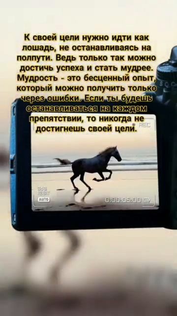 Шагай и беги к своей цели как лошадь 🐎#нейросеть