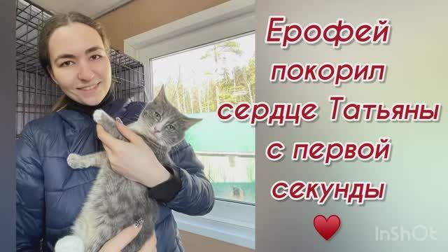 Ерофей покорил сердце Татьяны с первой секунды ♥️ Приют для животных
