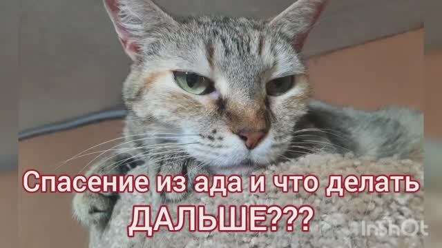 Спасение из ада и что делать ДАЛЬШЕ???