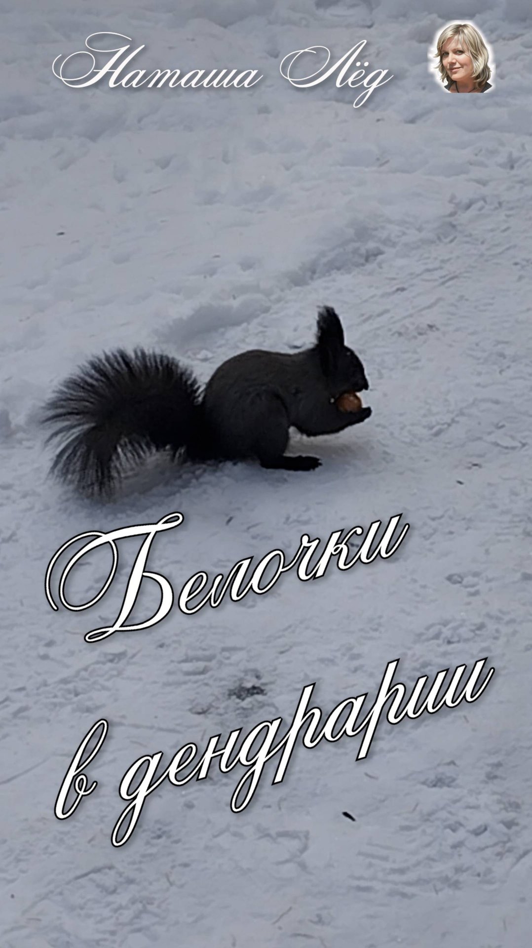 Белочки зимой в дендрарии Хабаровска