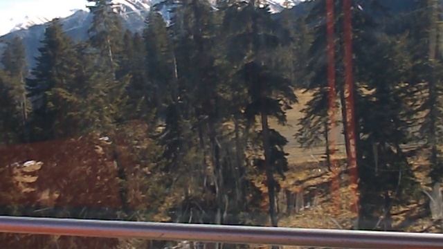 DSCN8466 Осенний Архыз,канатка,ферма Альпаки ноябрь 2025