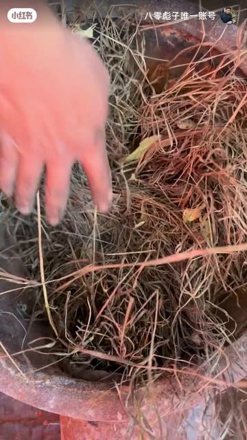 Бяози рукодельник \ 2