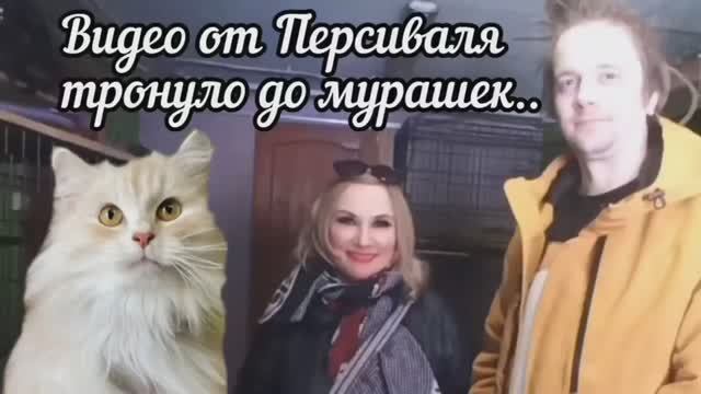 Видео от Персиваля тронуло до мурашек…