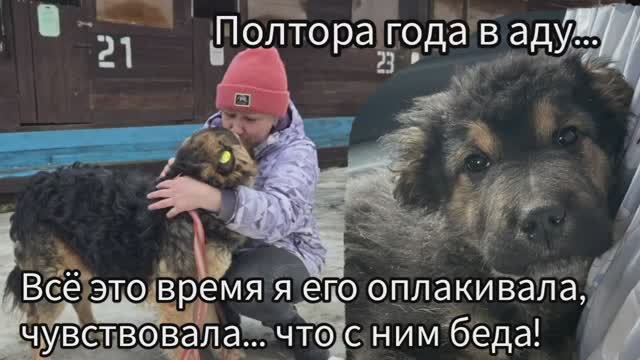 Полтора года в аду... Всё это время я его оплакивала,чувствовала..что с ним беда!