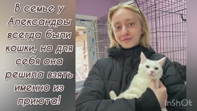 В семье у Александры всегда были кошки, но для для себя она решила взять именно из приюта!