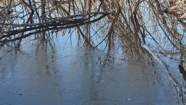 % улова впечатлил. Рыбалка поздней осенью